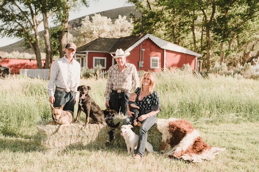 Home | Eagle Valley Livestock